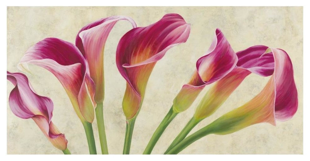 "calla Parade" Digital Paper Print By Luca Villa 50"x26"